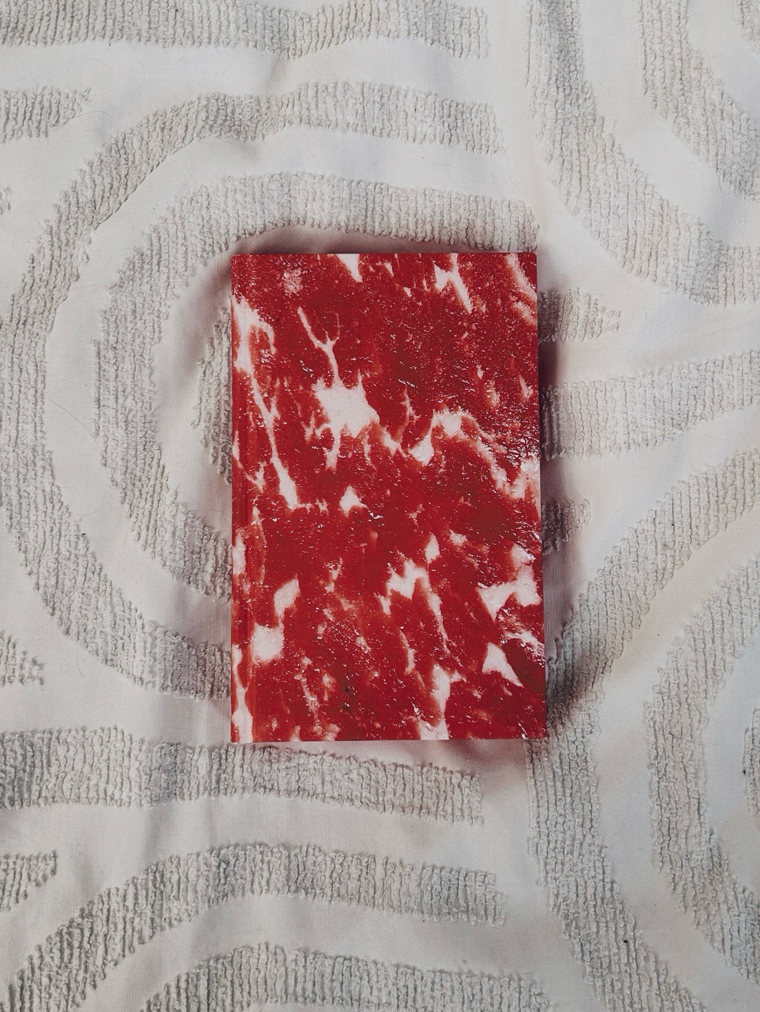 THE LAMB – lucy rose (writer)